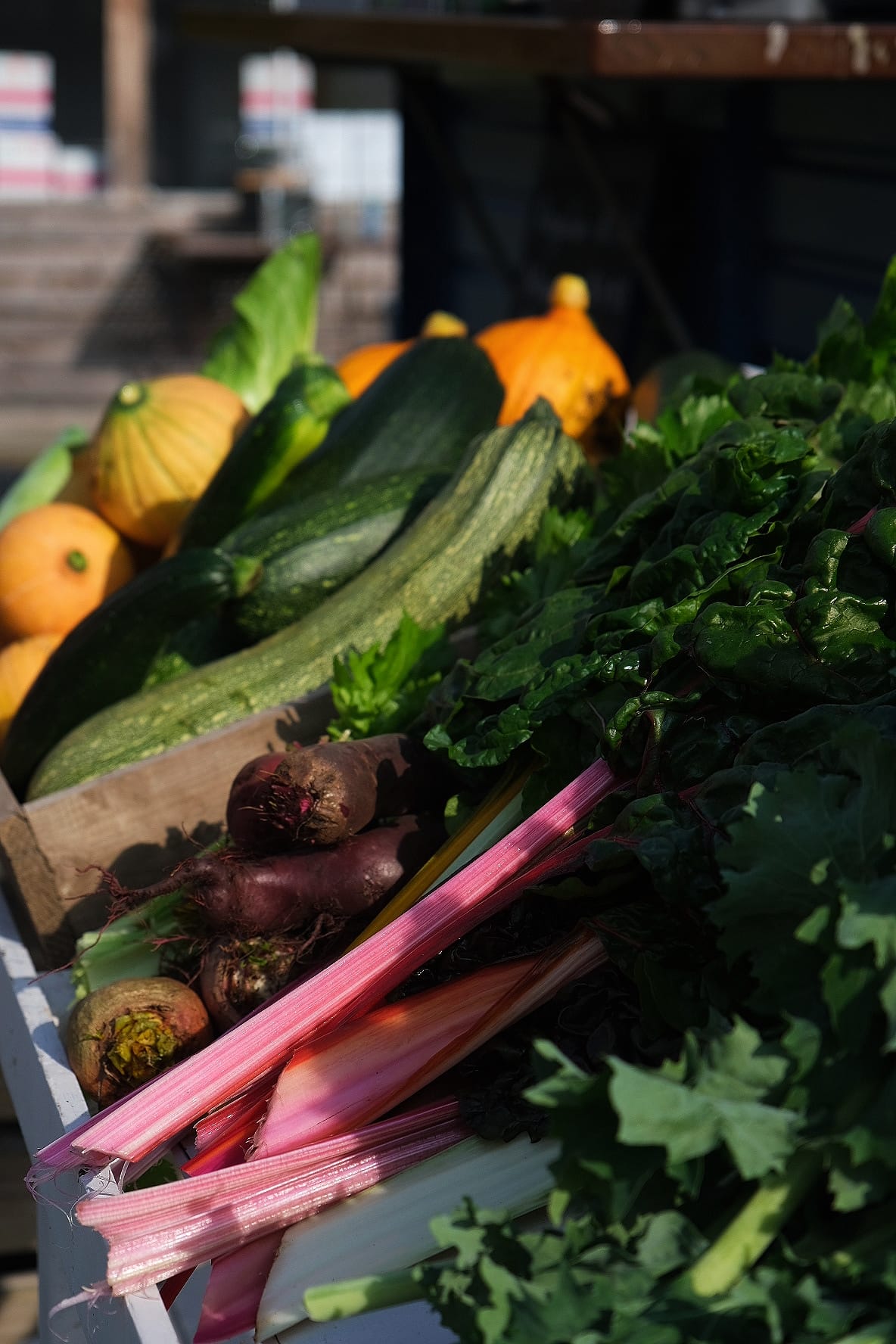 Events – Grower’s Tour – Achray Farm