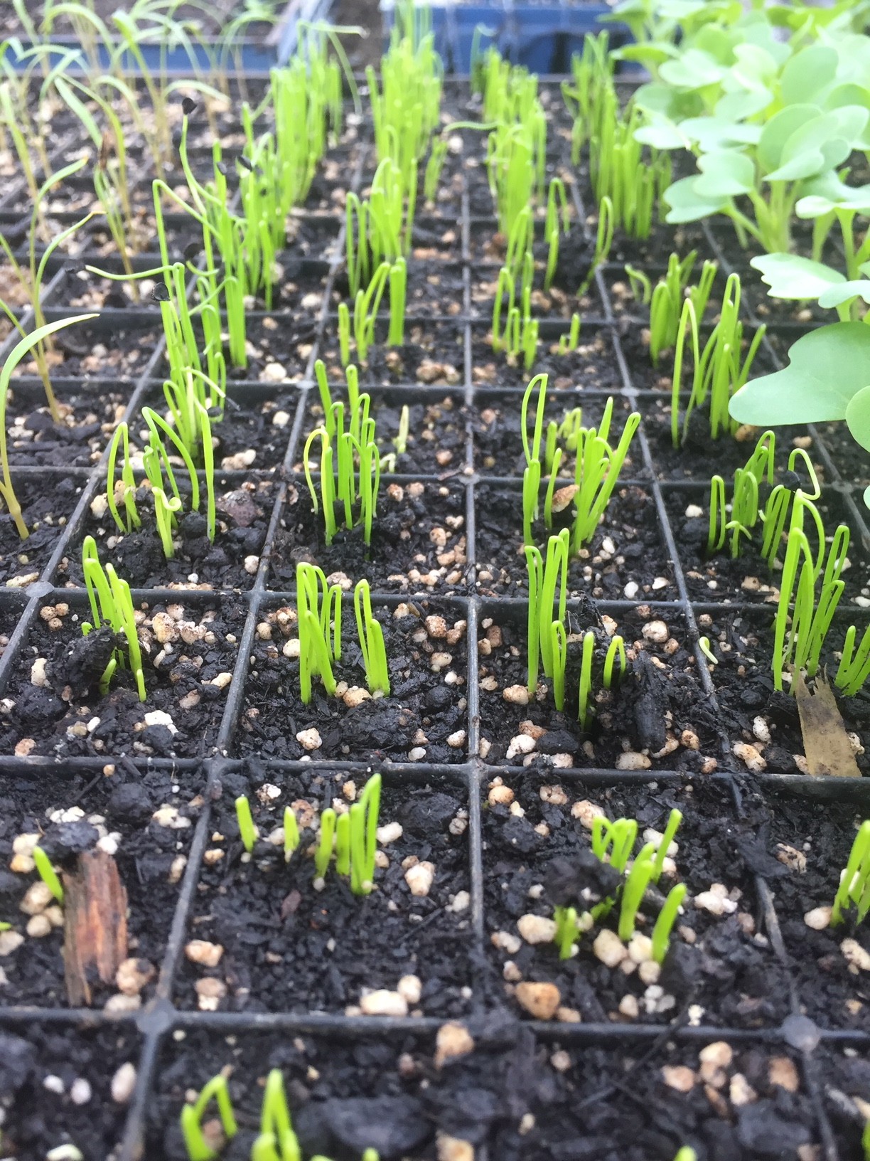Events – Grower’s Tour – Achray Farm